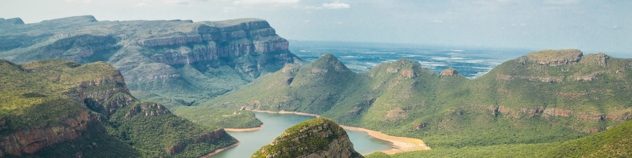 INGSA-Africa Contact - INGSA